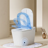 One Piece Toilet Modern Flush Toilet Floor Mounted Siphon Jet Toilet ...