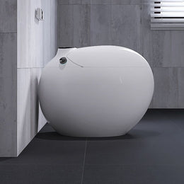 Floor Standing Bidet without Water Pressure Control Antimicrobial Bidet ...