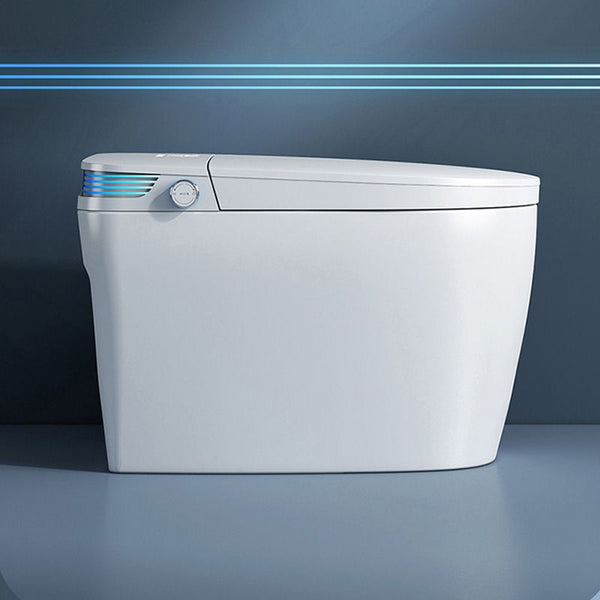 Contemporary Floor Standing Bidet in White Vitreous China Bidets ...