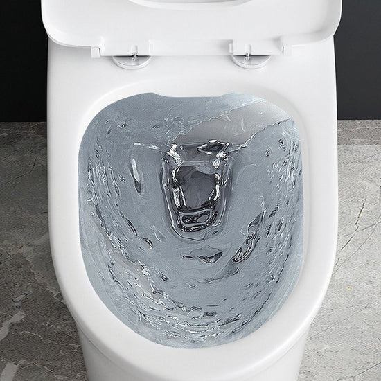 Contemporary Siphon Jet Toilet Bowl White Ceramic All-In-One Toilet ...