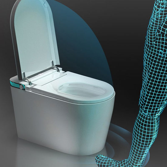 Modern Floor Mounted Flush Toilet Siphon Jet Urine Toilet with Seat for ...