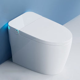 Elongated Smart Bidet with Tank All-In-One Ceramic Bidet with Heated ...