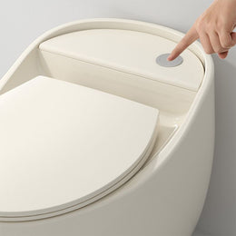 Contemporary Siphon Jet Toilet Bowl Slow Close Seat Included Urine ...