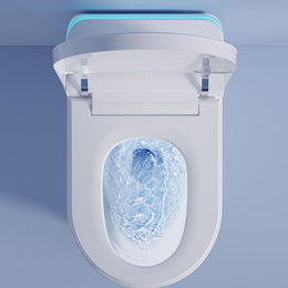 Modern Ceramic Flush Toilet 1 Piece Toilet Bowl for Bathroom - Clearhalo