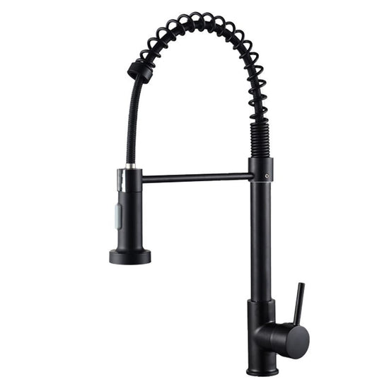 Modern Spring Spout Faucets 1-Handle with Water Dispenser Standard ...