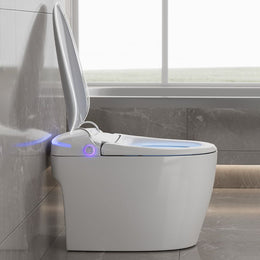 15.35" W Elongated All-in-One Smart Bidet with Water Tank & Heated Seat ...