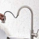 Modern Spray Kitchen Faucet Stainless Steel with Pull Out Sprayer Bar ...