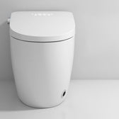 Elongated Vitreous China Bidet All-In-One Smart Toilet Seat Bidet ...