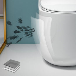 Modern Ceramic Flush Toilet Floor Mounted Urine Toilet with Seat for ...