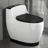 Modern Floor Mount Toilet Bowl Siphon Jet Toilet with Seat for Bathroom ...