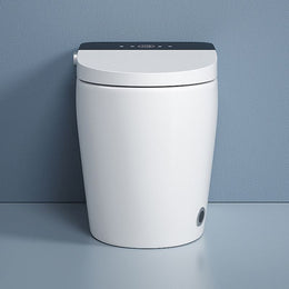 Ceramic Elongated Smart Toilet Bidet without Water Pressure Control ...
