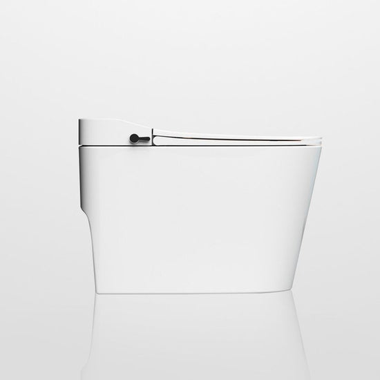 Modern Siphon Jet Toilet Concealed Tank Flush Toilet with Toilet Seat ...