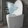 Siphon Jet Toilet Elongate One-Piece Floor Mounted Toilet with Dual ...