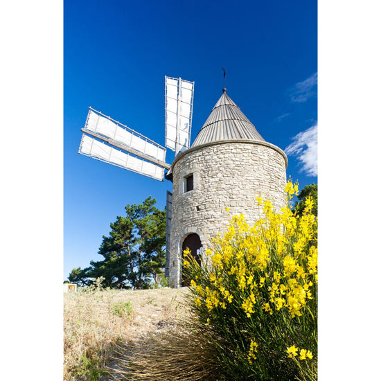 Whole Windmill View Mural Wallpaper for Wall Decor Contemporary Girls ...