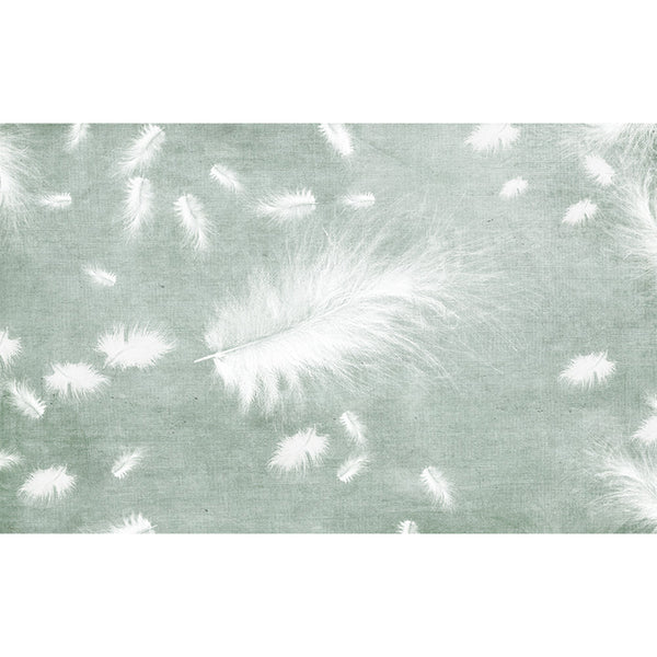 Huge Bird Feather Mural for Bedroom Animals Wall Art in Light Color ...