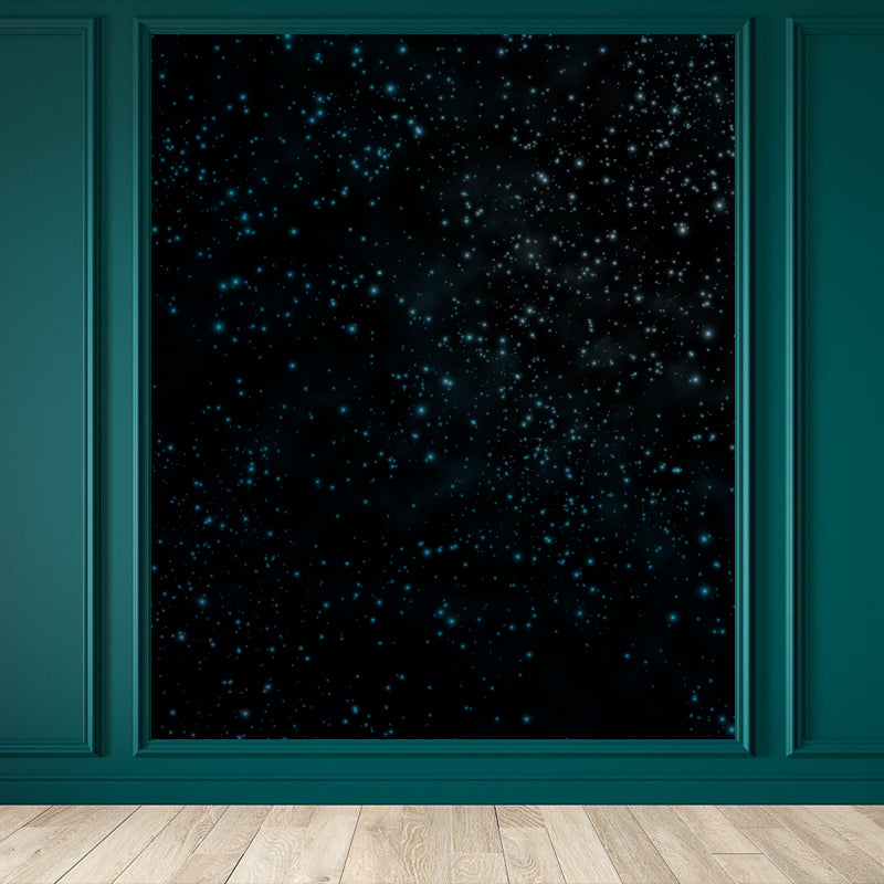 Night and Star Sky Mural Modern Smooth Wall Art in Dark Color for ...