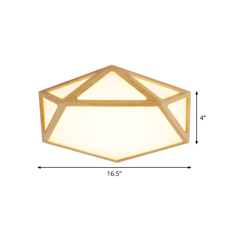 Pentagon Parlor Ceiling Fixture Acrylic 16.5"/20.5"/24.5" W LED ...