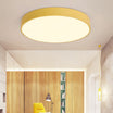 Disk Flush Mount Ceiling Light Minimalism Acrylic Ceiling Mount Light ...
