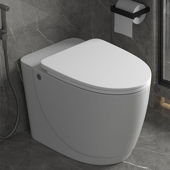 Siphon Jet Toilet Elongate One-Piece Floor Mounted Toilet with Dual ...