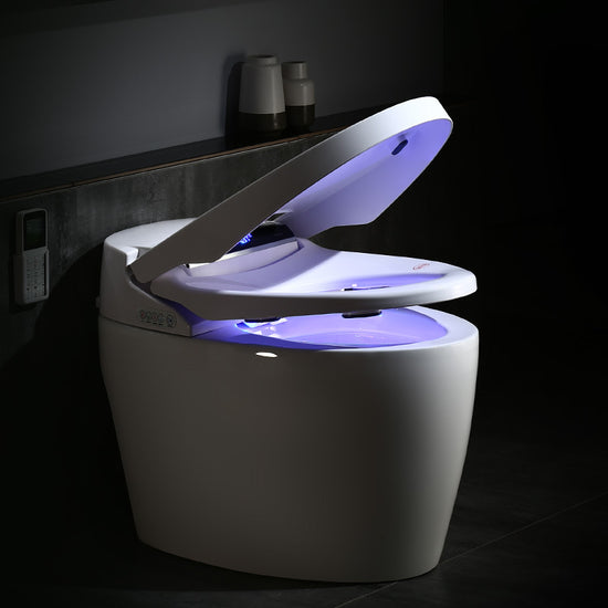 Modern 1-Piece Bidet Toilet Floor Mounted Toilet Bowl for Washroom ...