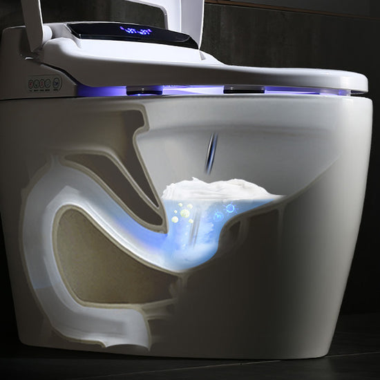 Modern 1-Piece Bidet Toilet Floor Mounted Toilet Bowl for Washroom ...