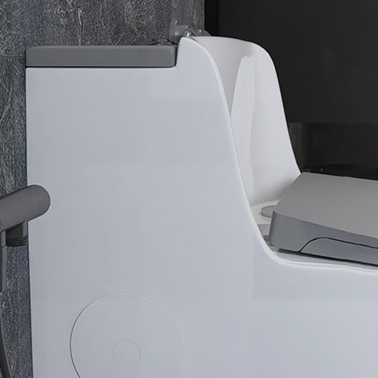 Modern Elongated Toilet Bowl Siphon Jet Flush Toilet with Seat - Clearhalo