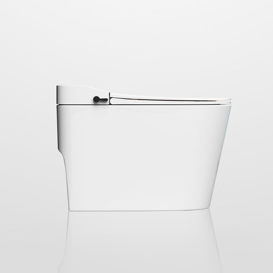 Modern Siphon Jet Toilet Concealed Tank Flush Toilet with Toilet Seat ...