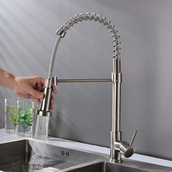 Modern Spring Spout Faucets 1-Handle with Water Dispenser Standard ...