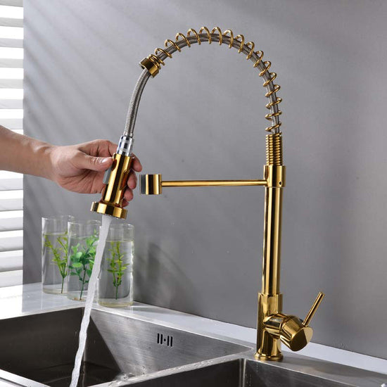 Modern Spring Spout Faucets 1-Handle with Water Dispenser Standard ...