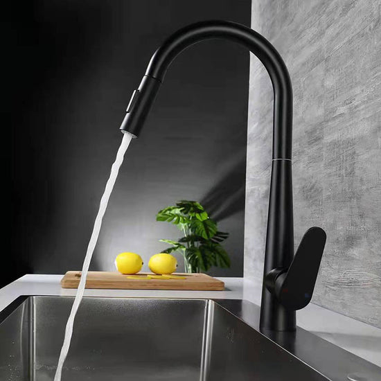 Modern Retractable Kitchen Faucet Stainless Steel 1-Handle High Arc ...