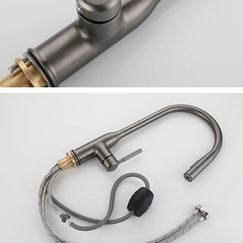 Modern Standard Kitchen Faucet Gooseneck Kitchen Faucet with One Handle ...