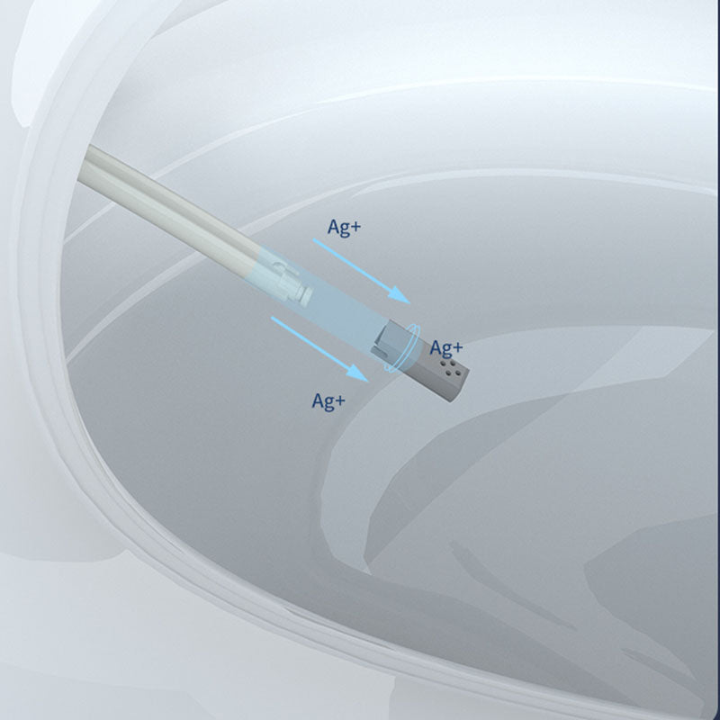 Contemporary Flush Toilet Floor Mounted One-Piece Toilet Porcelain ...