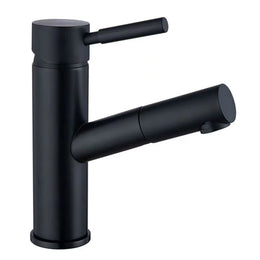 Pull-out Faucet Contemporary Single Handle Faucet with Swivel Spout ...