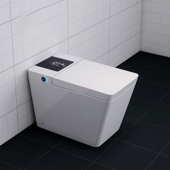 Contemporary Floor Mount Bidet Elongated Ceramic Floor Standing Bidet ...