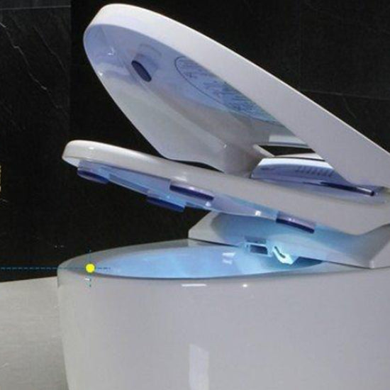 Modern Porcelain Flush Toilet Floor Mounted Siphon Jet All-In-One ...