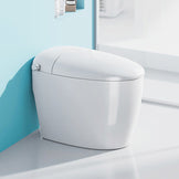 One Piece Toilet ABS Modern Toilet Floor Mounted Siphon Jet Urine ...