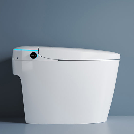 Contemporary Floor Standing Bidet Elongated Bidet with Heated Seat ...