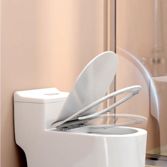 Modern Floor Mounted Toilet White Slow Close Seat Included Toilet Bowl ...