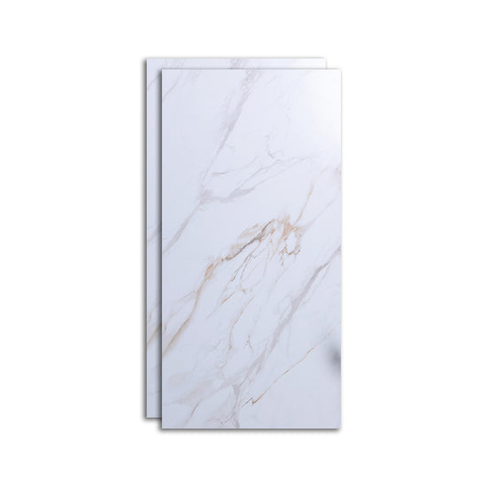 Indoor Wall & Floor Tile Porcelain Floor and Wall Tile with Rectangular ...