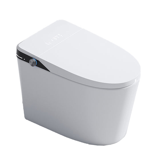Modern White Flush Toilet Heated Seat Included Urine Toilet for ...