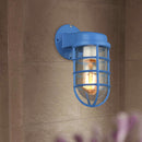 1 Bulb Metal Caged Wall Mounted Light Fixture Coastal Red/Blue Clear ...