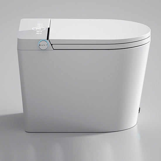 Elongated Stain Resistant Floor Standing Bidet with Heated Seat and ...